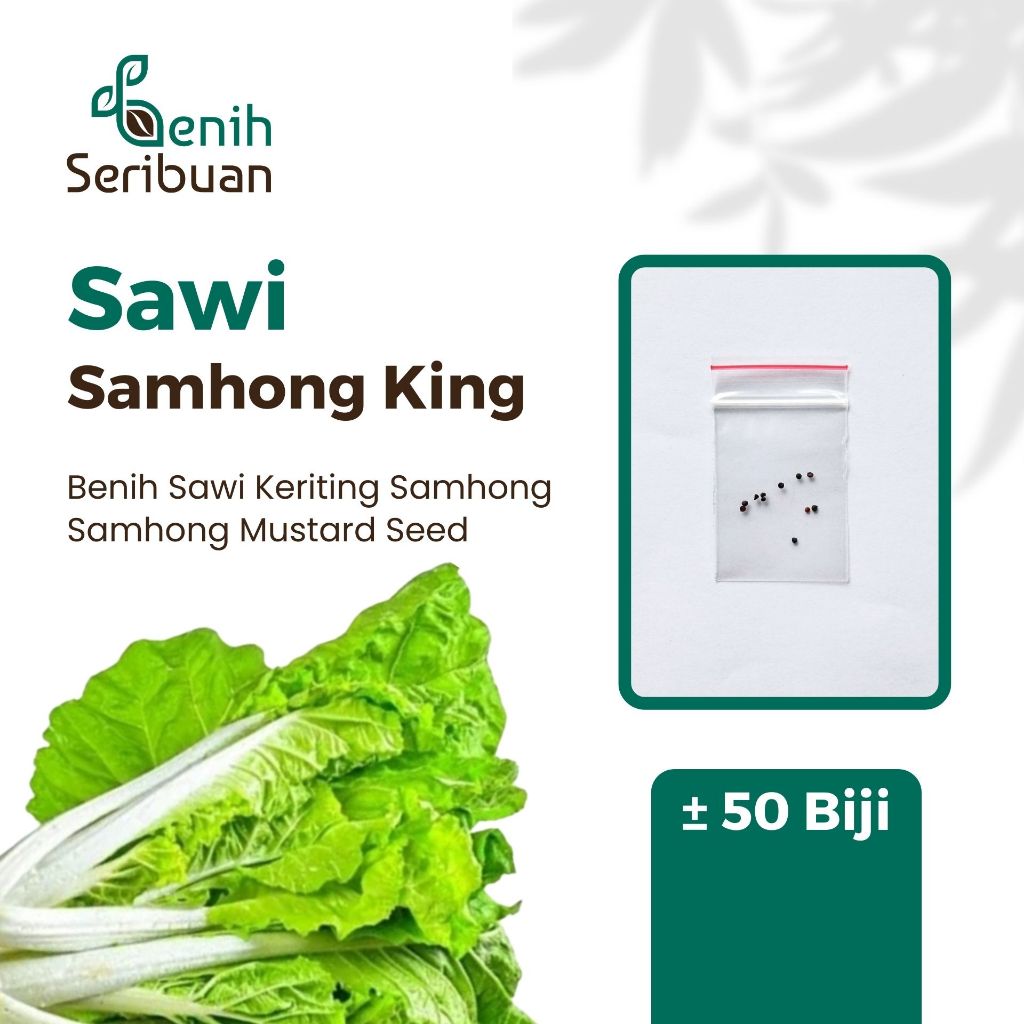 Jual 50 Benih Bibit Sawi Samhong King Keriting F1 Hibrida Benih Sayuran ...