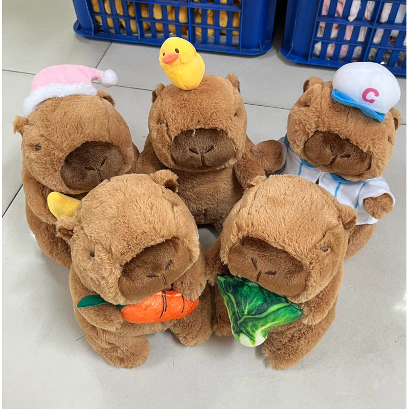 Jual BONEKA CAPYBARA 8INCH / CAPYBARA PLUSH DOLL 8INCH PREMIUM | Shopee ...