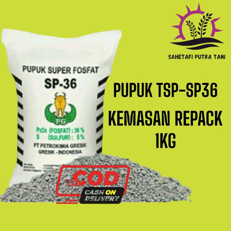 Jual Pupuk Sp 36 Terlengkap & Harga Terbaru Mei 2026 | Shopee Indonesia