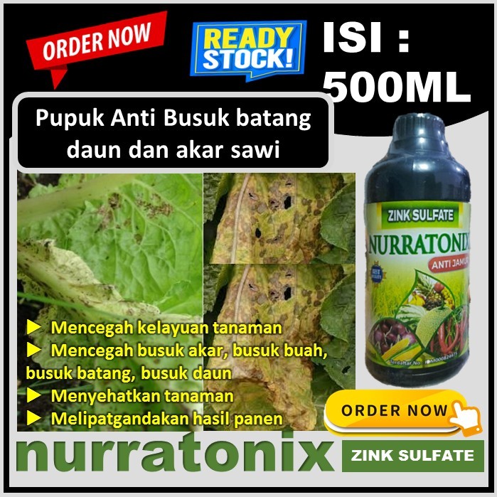 Jual Pupuk Paling Ampuh Atasi Busuk Akar,Batang Dan Daun Sawi – Pupuk ...