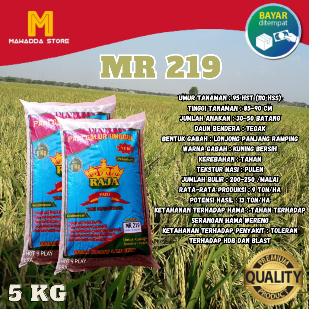 Jual BENIH PADI UNGGUL TERBARU MR219 JUMBO TAHAN REBAH KEMASAN 5KG ORI ...