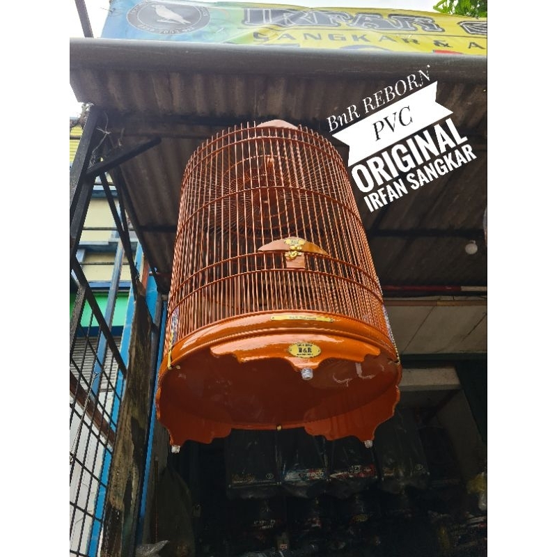 Jual sangkar murai BnR pvc natural original plat terbaru | Shopee Indonesia