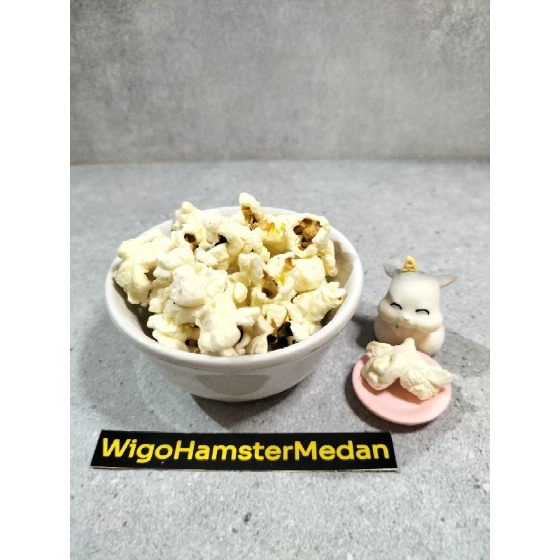 Jual snack hamster kering popcorn | Shopee Indonesia