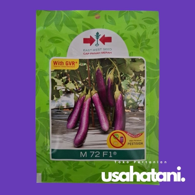 Jual M 72 (M72) F1 1100 Butir Benih Terong Ungu Tahan Virus Cap Panah Merah | Shopee Indonesia