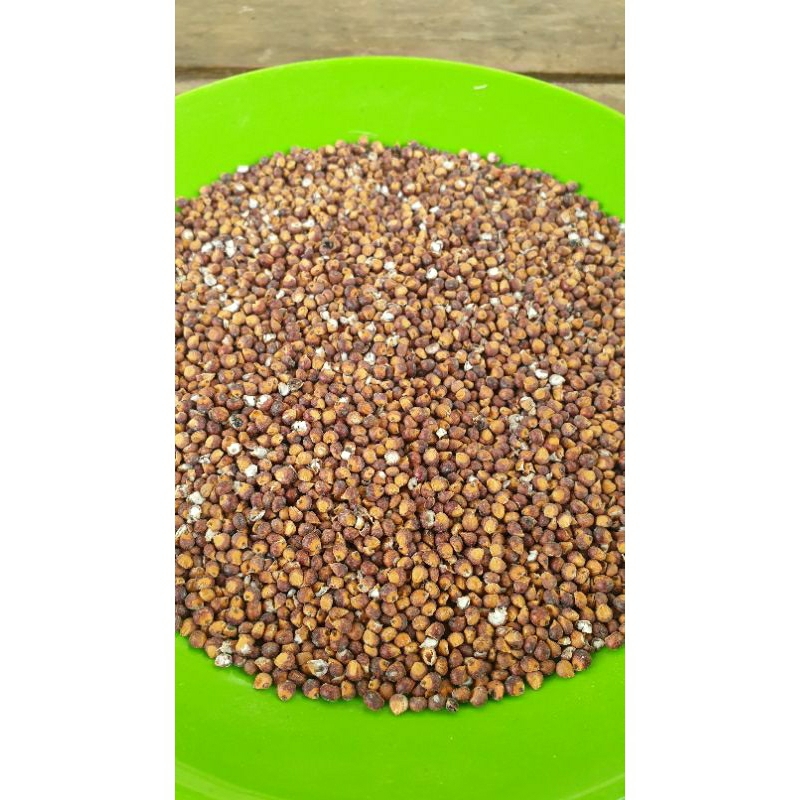 Jual Beras Sorgum/Sorghum/Gurgur/Bulgur Merah Asli dari Petani | Shopee ...