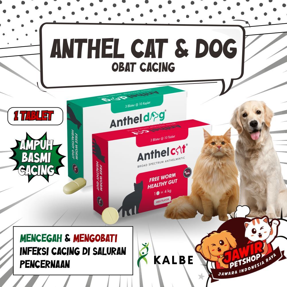 Jual ANTHEL obat cacing kucing anjing cat dog tablet murah ampuh untuk ...