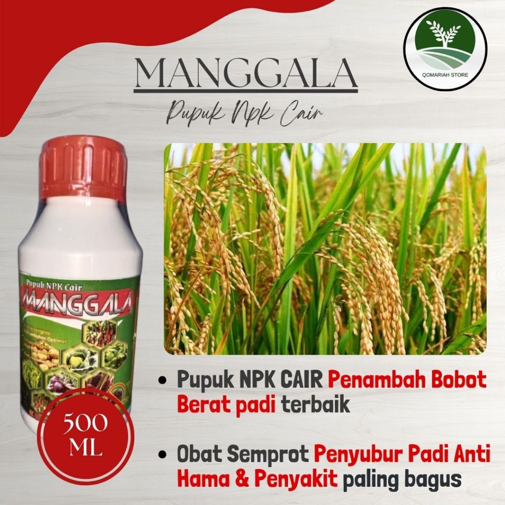 Jual pupuk pelebat penyubur padi sawah paling bagus - MANGGALA 500ML - Obat semprot padi ...