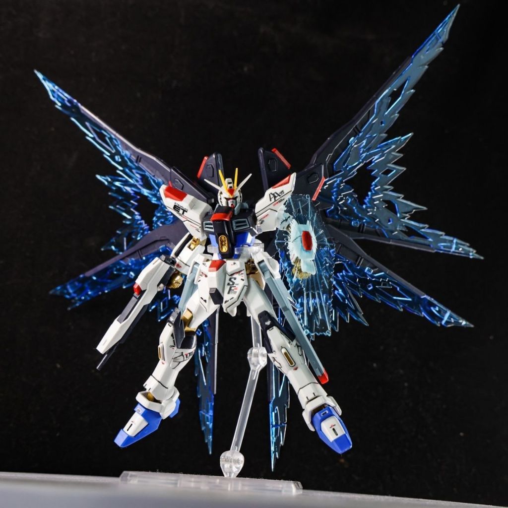 Jual Gaoke 201 HG 1/144 Strike Freedom Revive Fighter Mode Kit | Shopee ...
