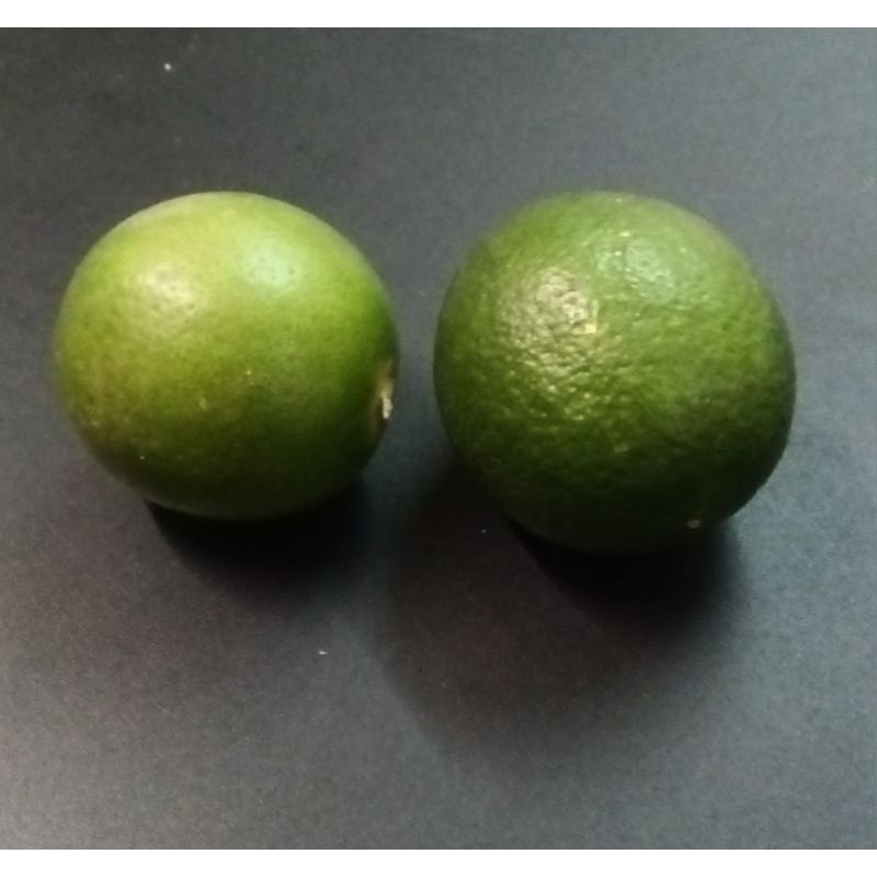 Jual Lemon Jus Hijau Organik ~250g | Shopee Indonesia