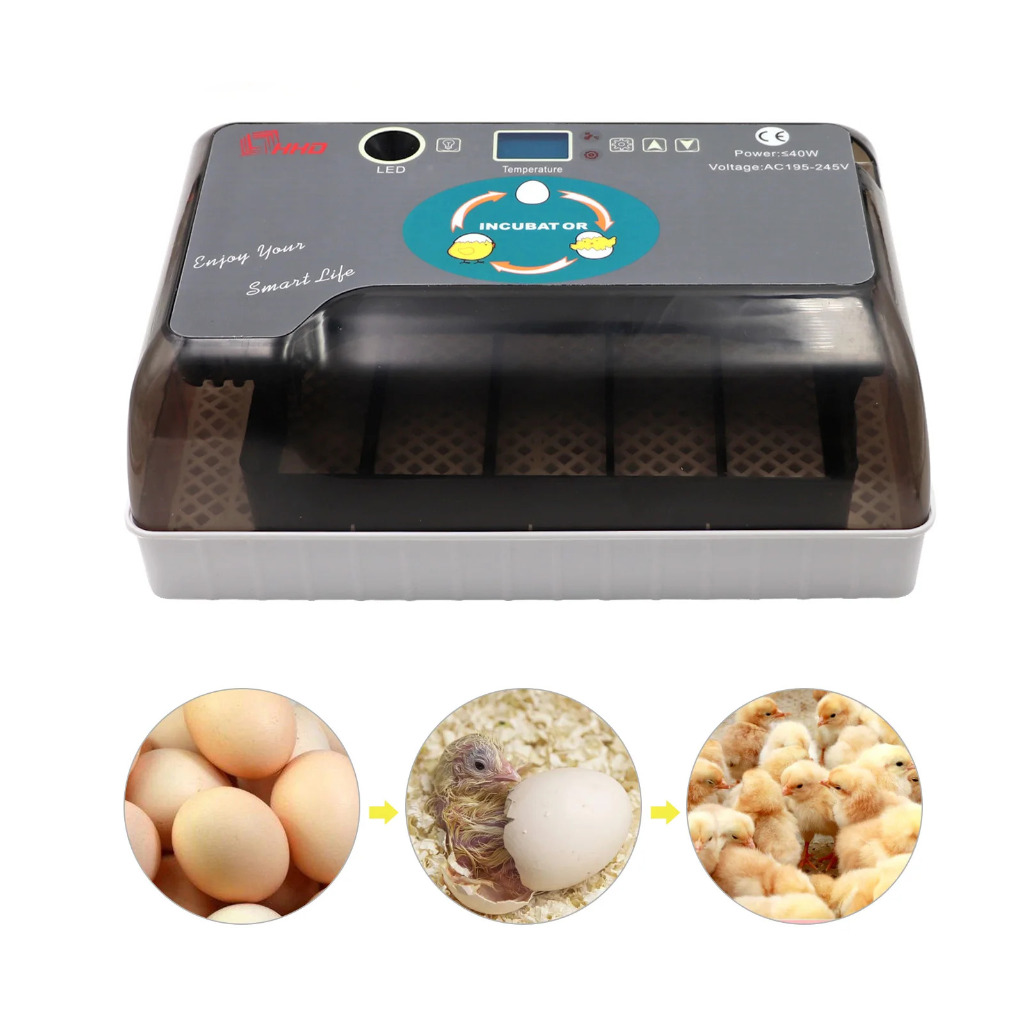 Jual Full Automatic Incubator Brooder Farm Hatchery Machine 12 Telur ...