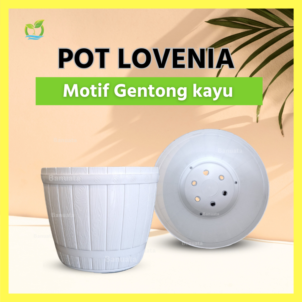 Jual Pot Bunga Lovenia 16 cm Pot Lucu Motif Gentong Kayu Pot Putih ...