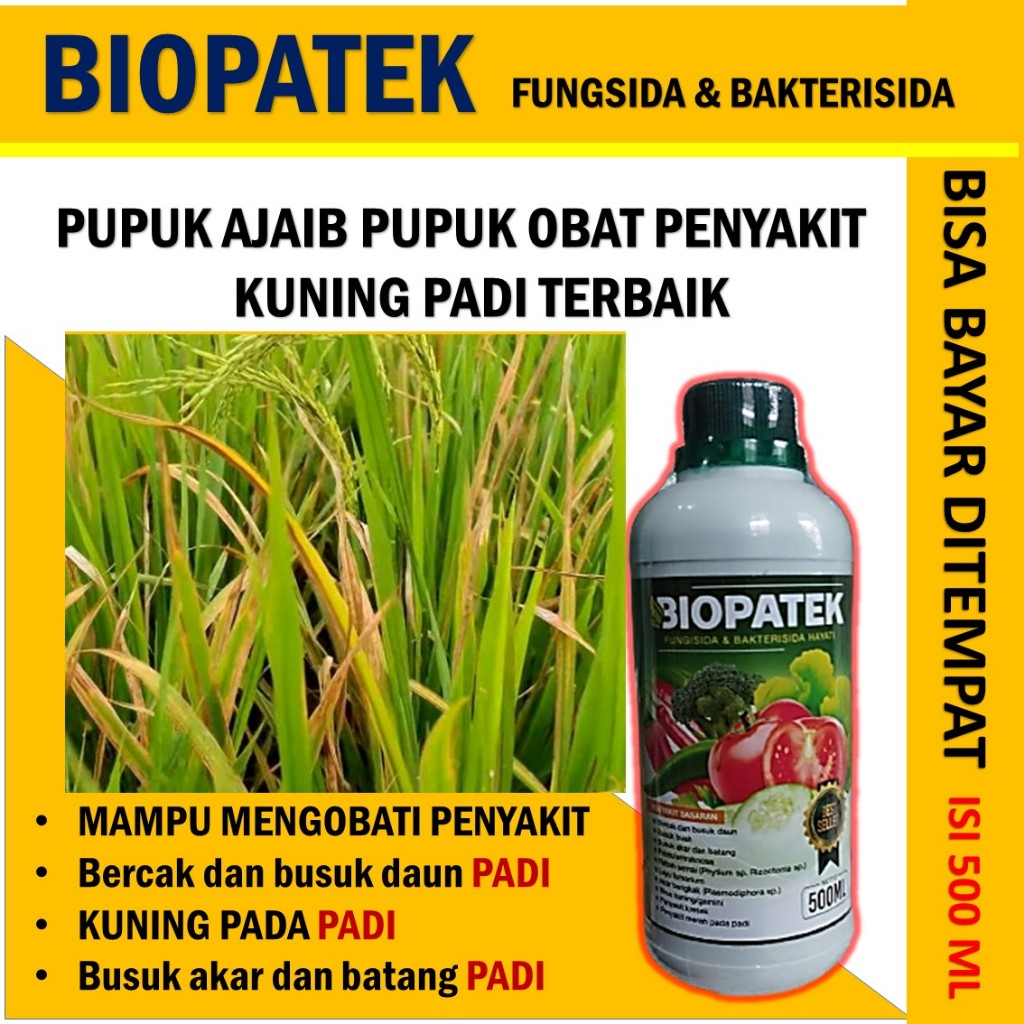 Jual TERLARIS Obat Semprot Hama Kuning Kerdil Daun Padi Terampuh ...