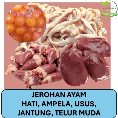 Jual JEROHAN AYAM (HATI, AMPELA, JANTUNG, USUS, DAN TELUR MUDA/URITAN ...