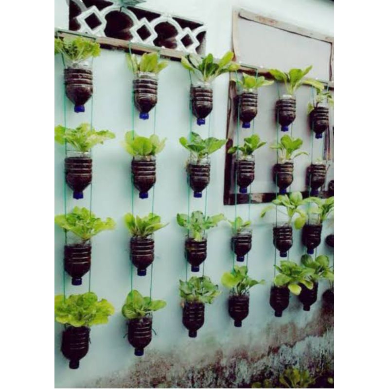 Jual ( 5 pcs) VAS / POT BUNGA GANTUNG DARI BOTOL BEKAS 1,5 LITER ...