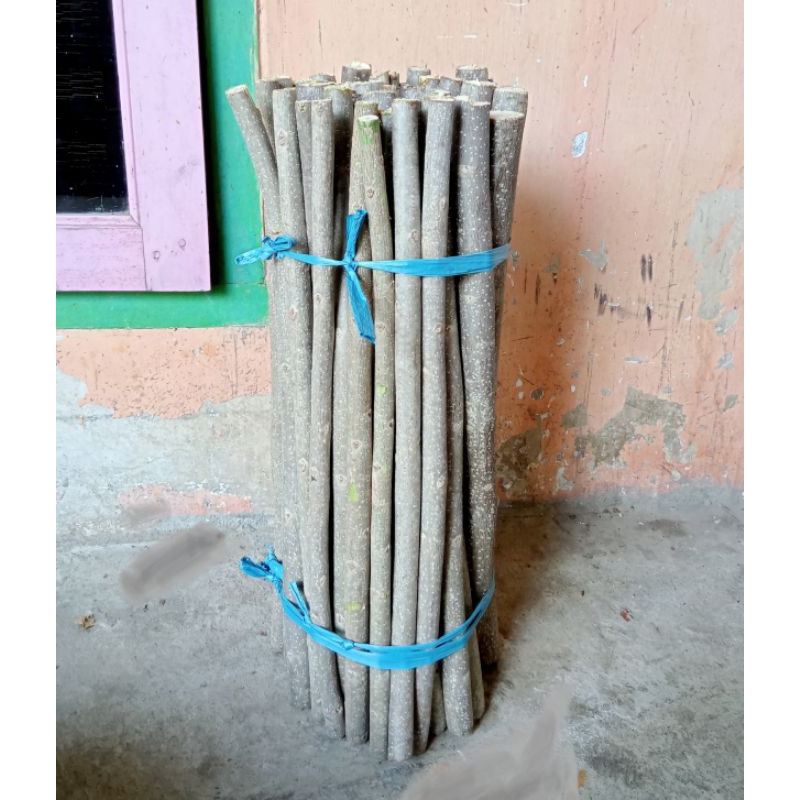 Jual penjualan perbatang/biji bibit Gamal,leresede,dada B ,kelor wono ...