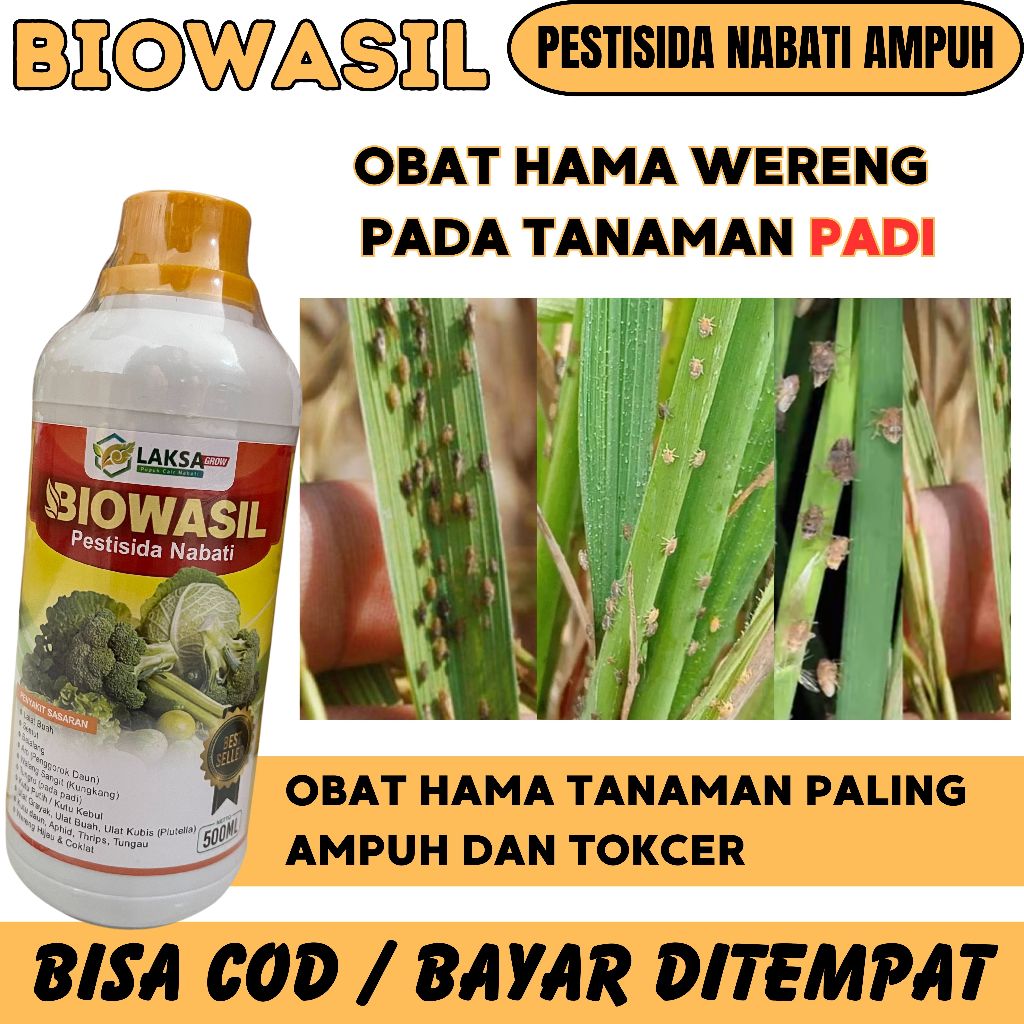 Jual Obat Hama Wereng Padi Paling Ampuh dan Bagus Biowasil 500 Ml ...