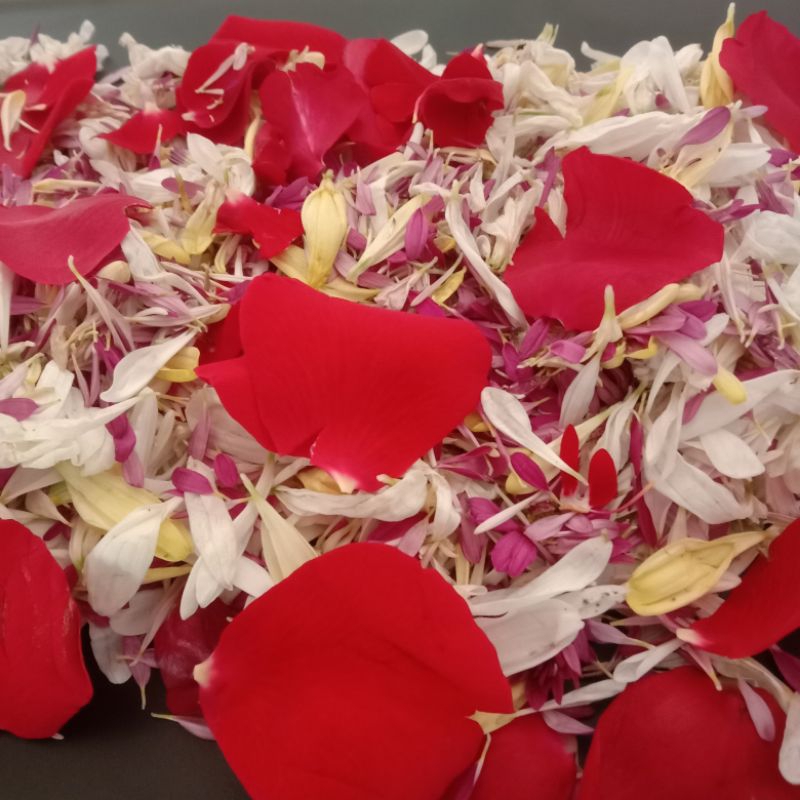 Jual Bunga tabur ziarah makam fresh bunga asli bandung | Shopee Indonesia