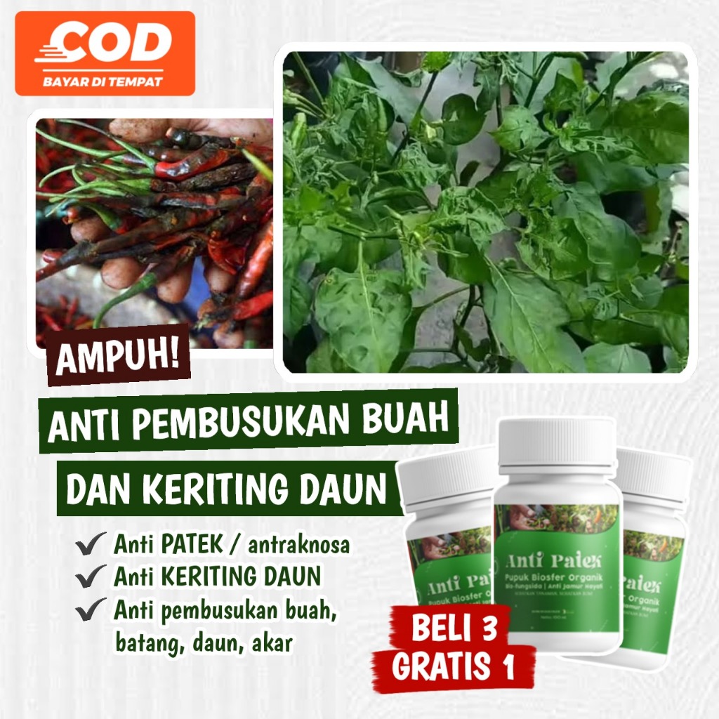Jual Pupuk Cair Fungisida Hayati Anti Patek, Anti Busuk Buah, & Anti ...
