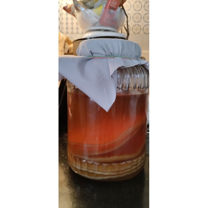 Jual Starter Kombucha paket awal untuk membuat fragmentasi jamur teh ...