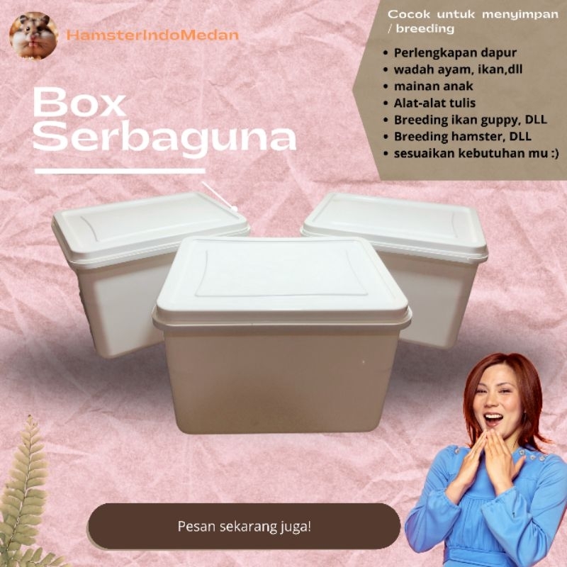 Jual Box es cream / Box penyimpanan serbaguna kapasitas 8 Liter ...