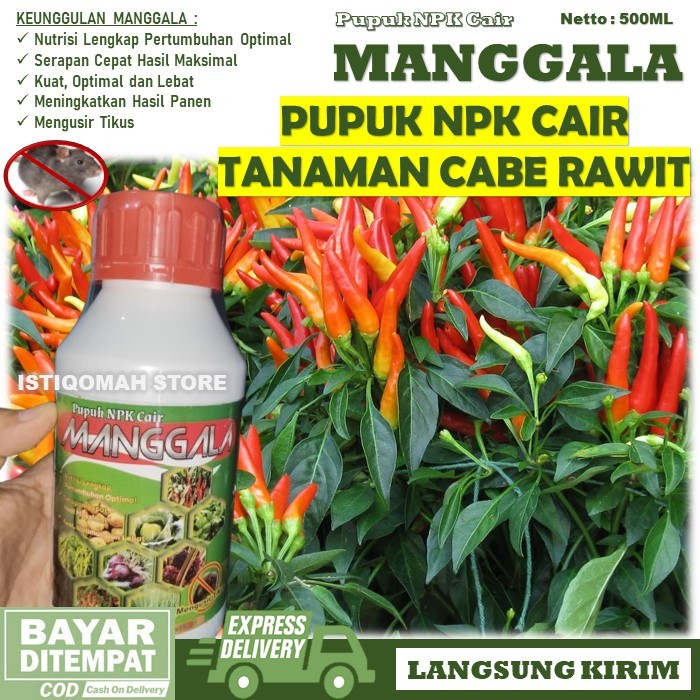Jual Pupuk Murah Obat Untuk Cabe Rawit Biar Lebat Dan Banyak MANGGALA isi 500ML Pupuk NPK Cair ...