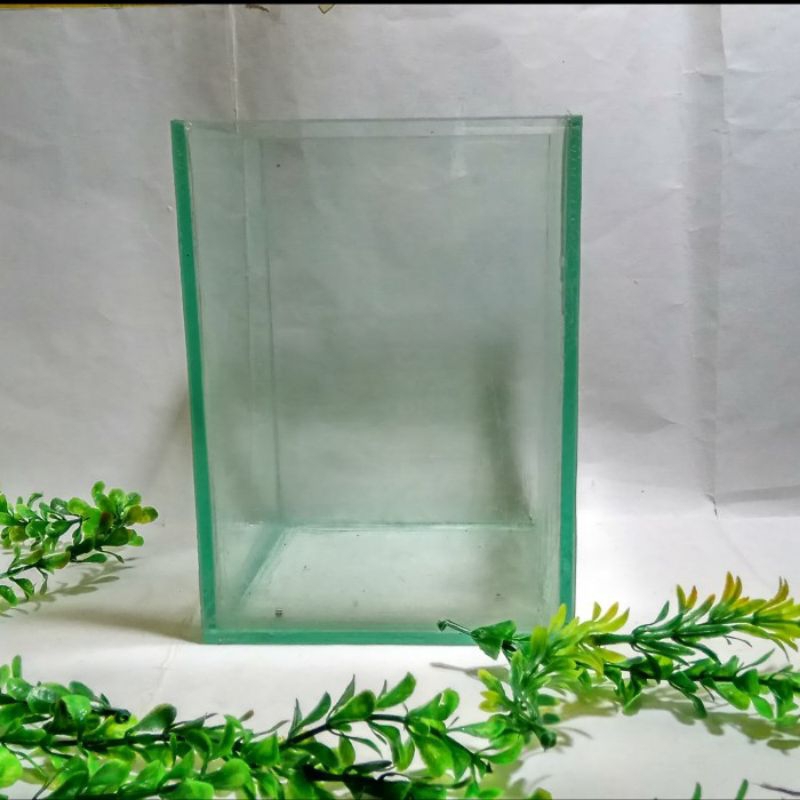 Jual Soliter cupang ukuran 10x10x15cm kaca tebal 5mm | Shopee Indonesia