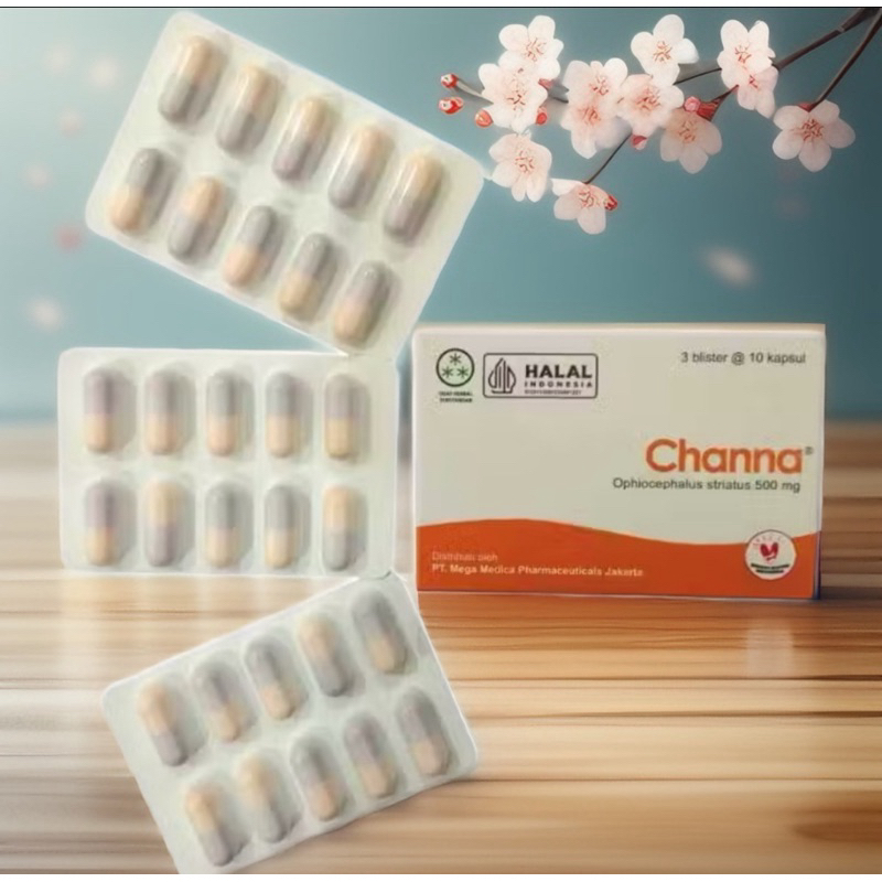Jual Channa Striata 500mg Ekstrak Ikan Gabus 30 kapsul | Shopee Indonesia