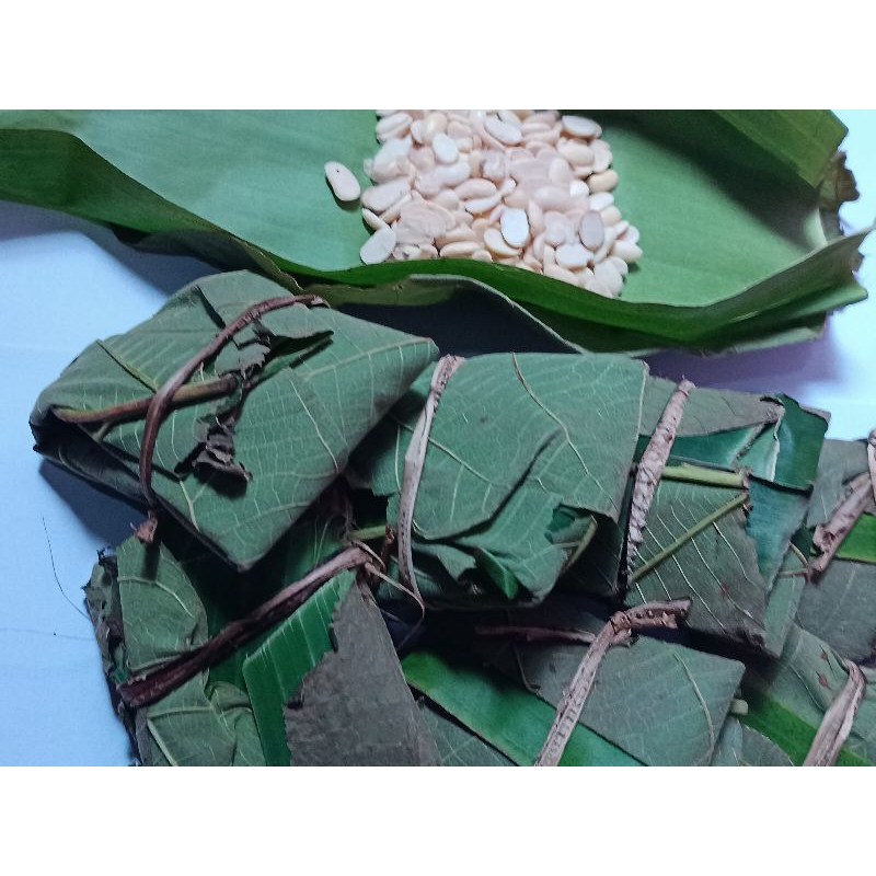 Jual Tempe Daun Fresh (Belum jadi 100%) | Shopee Indonesia