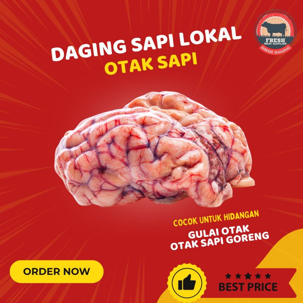 Jual Otak Sapi Lokal 1 pcs | Shopee Indonesia