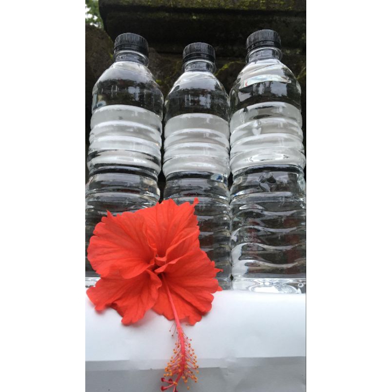 Jual 10 botol parfum laundry/molto/pewangi pakian kemasan 600ml ...