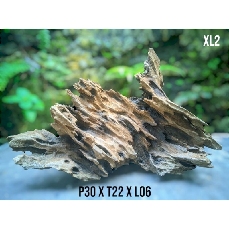 Jual Kayu rentek aquascape murah | Shopee Indonesia