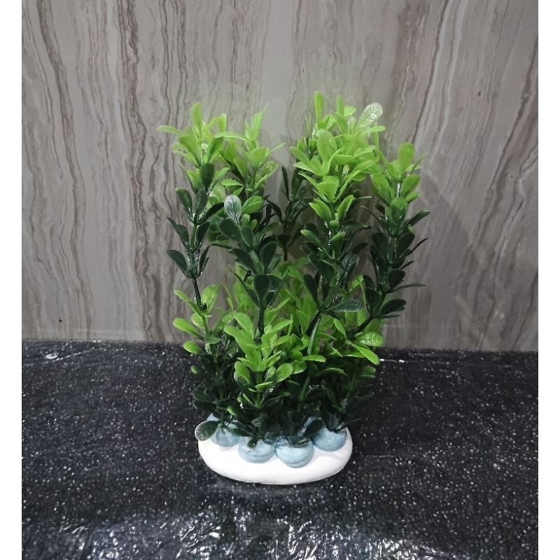 Jual Hiasan tanaman daun nyiur cantik akuarium dan soliter | Shopee ...