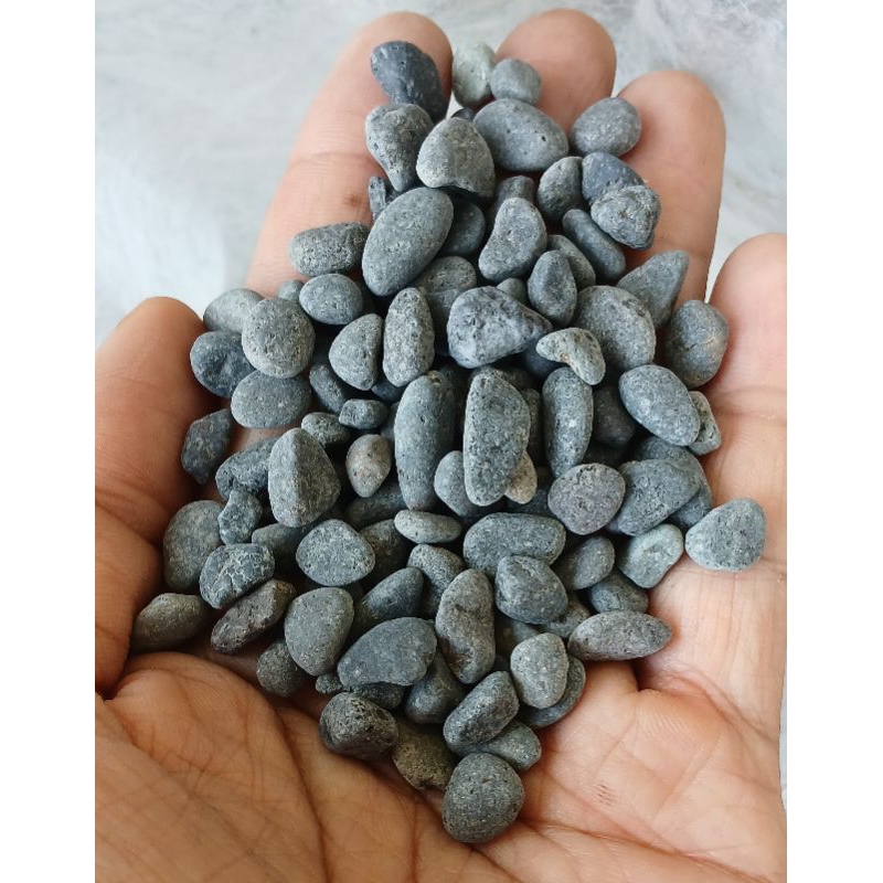 Jual Batu hitam Sulawesi - Kerikil hitam - Batu koral hitam kecil ...