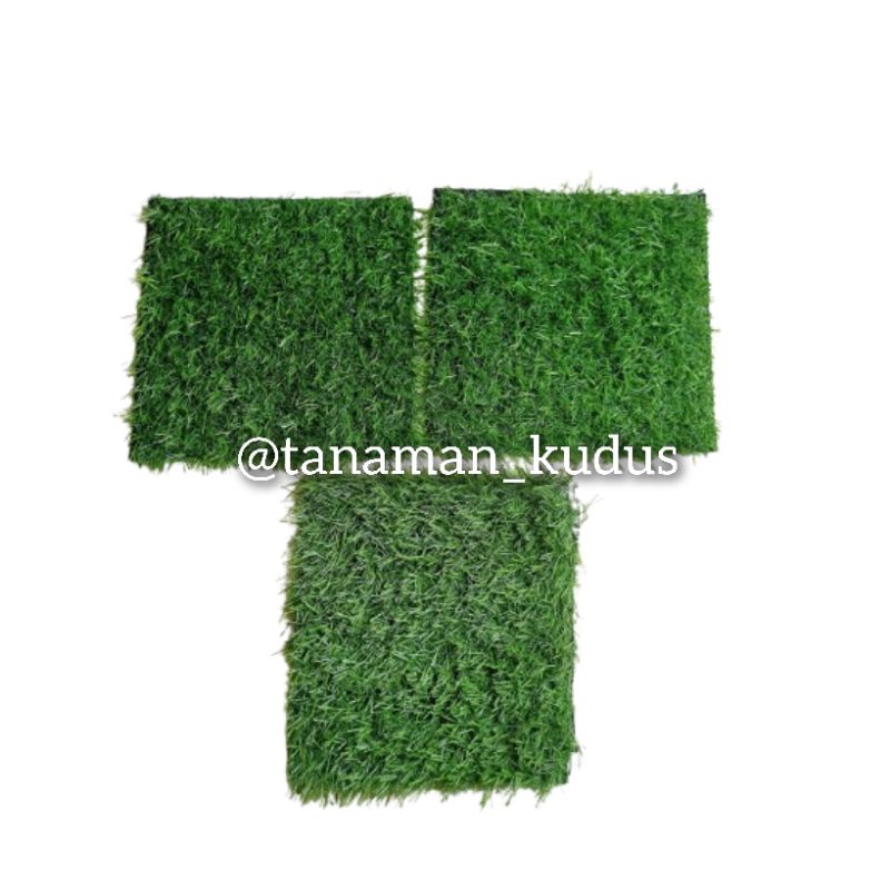 Jual RUMPUT SINTETIS tipe Swiss ukuran 25x25cm, tebal 2 cm (real ...