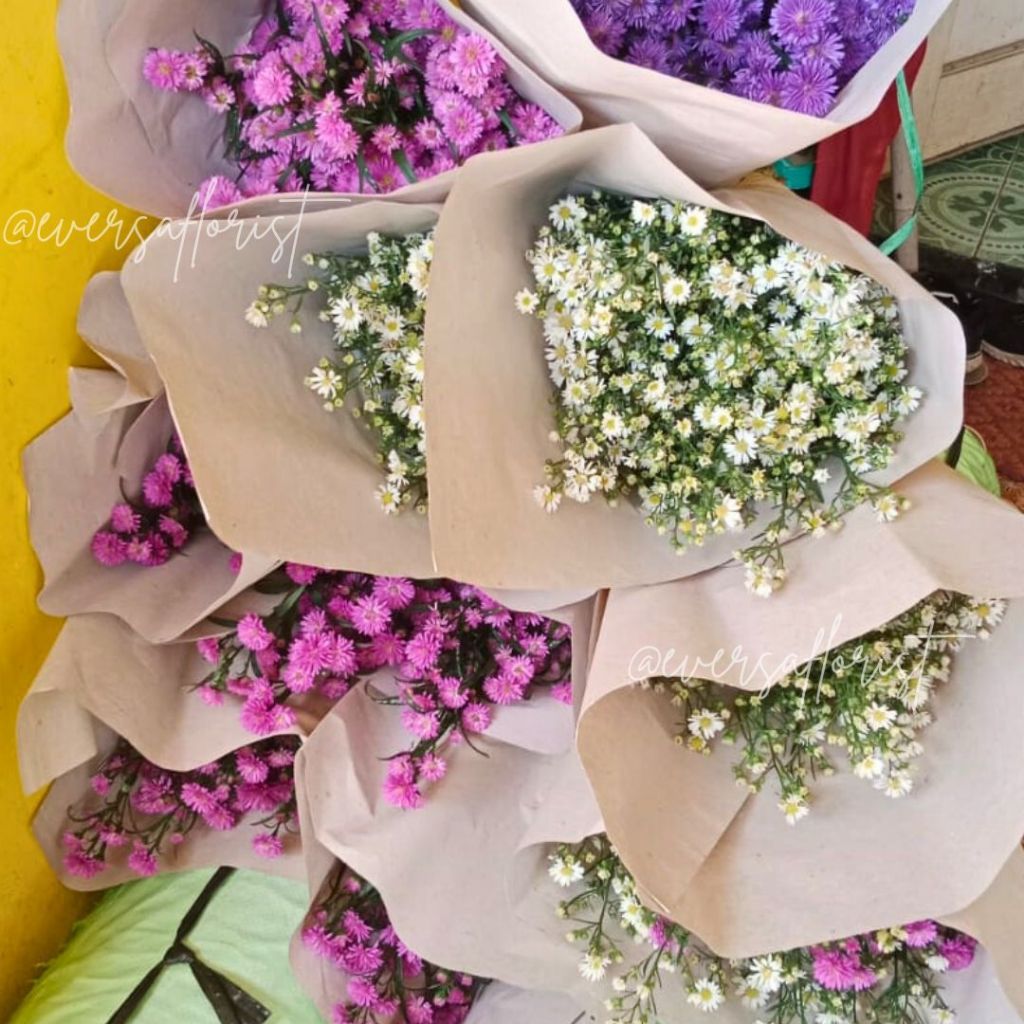 Jual EVERSA FLORIST - Bunga Pikok Peacock Pink Segar | Shopee Indonesia