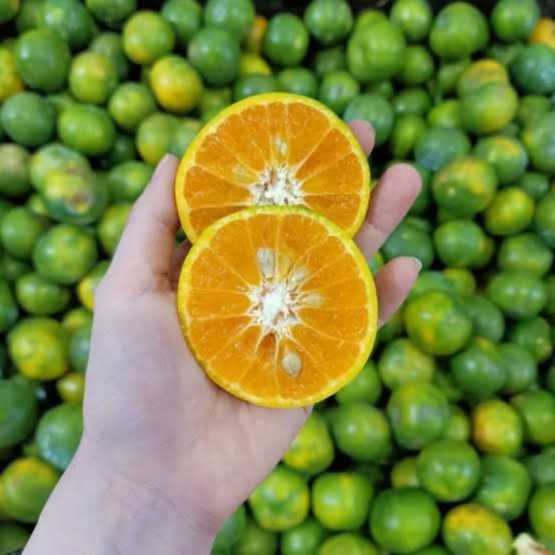 Jual jeruk peras segar 1kg fresh | Shopee Indonesia