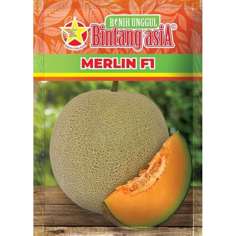 Jual MELON MERLIN F1 || BINTANG ASIA | Shopee Indonesia