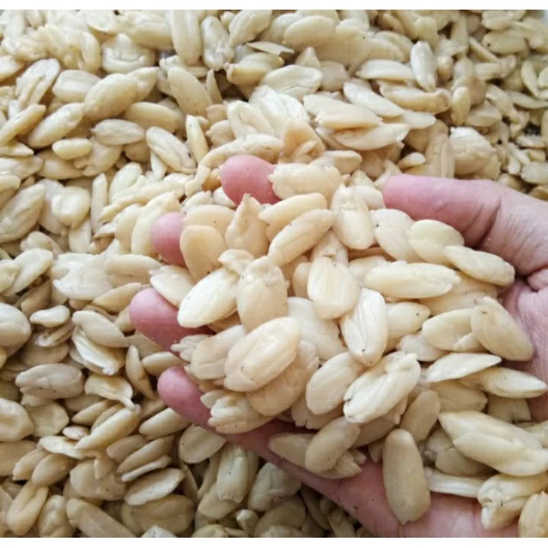 Jual KACANG KENARI KUPAS 200 GR REPACK | Shopee Indonesia