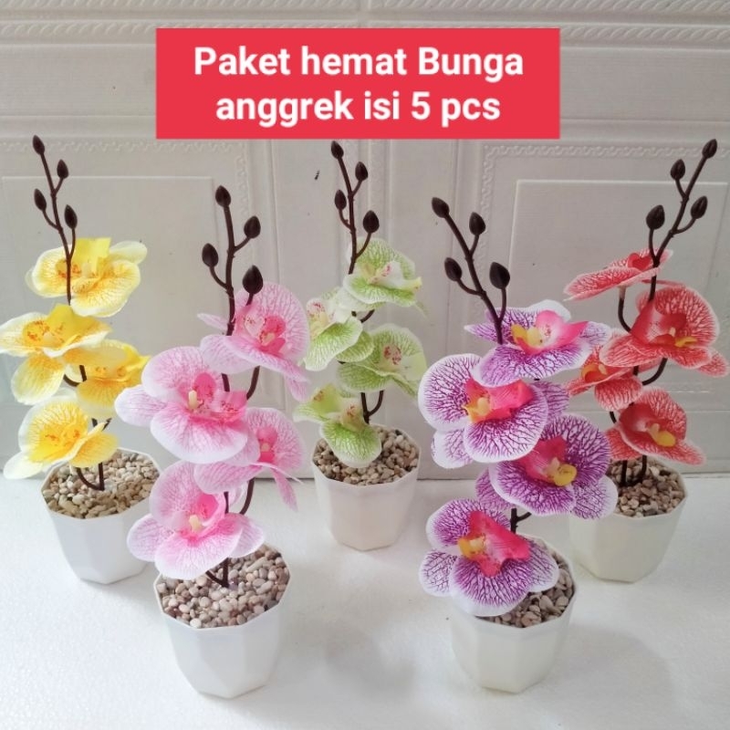 Jual Paket Hemat Bunga Anggrek Isi 5 Pcs hanya 45ribu/sudah set pot ...