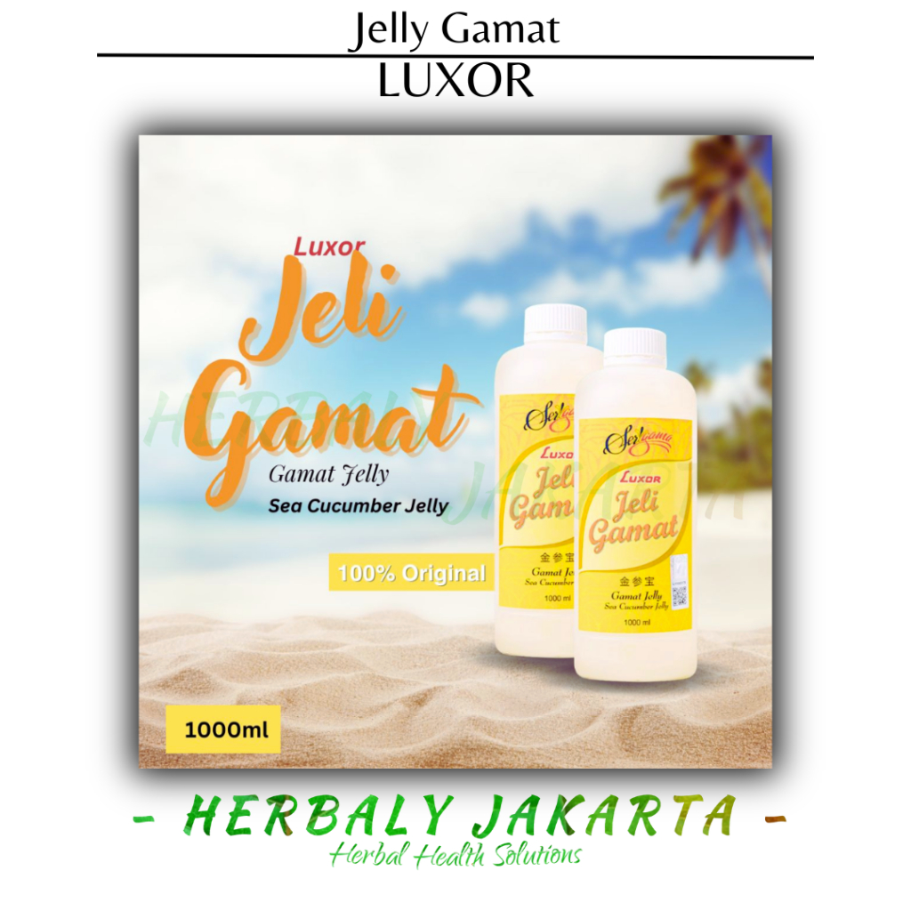 Jual Jelly gamat luxor 1000ml / luxor 1liter asli original ekstrak ...