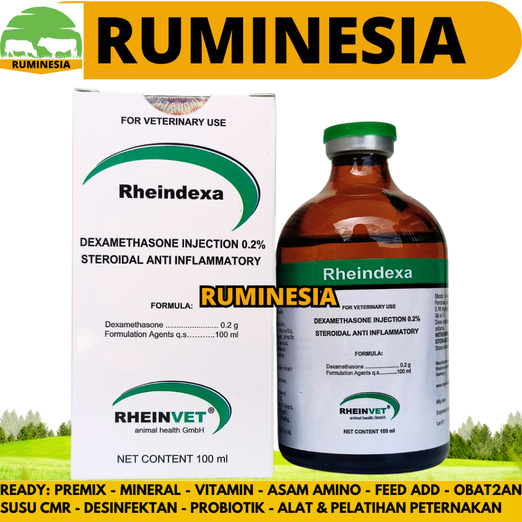 Jual RHEINDEXA 100 ML - Obat Hewan Anti Inflamasi Radang Ternak Sapi ...