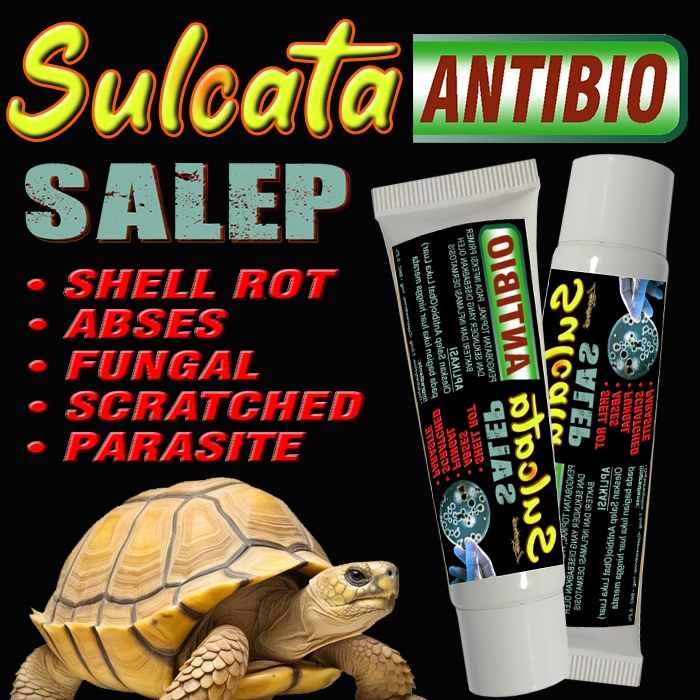 Jual SULCATA ANTIBIO SALEP OBAT PENYAKIT KULIT TEMPURUNG CARAPAS ...