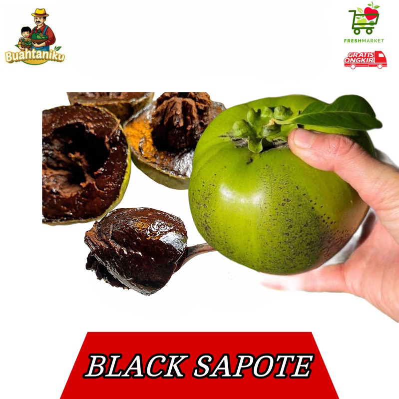 Jual Buah BLACK Sapote Giant (sawo hitam mexico) | Shopee Indonesia