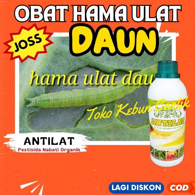 Jual Pestisida Organik Ulat ANTILAT 500ML – Obat Hama Ulat untuk ...