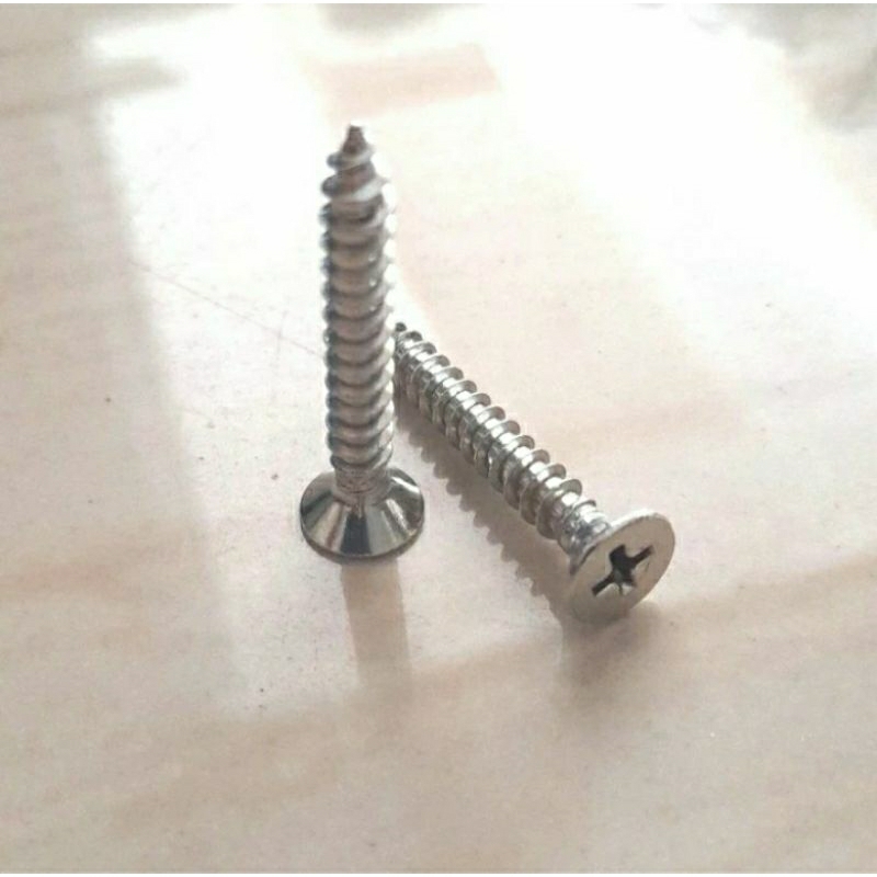 Jual (Paket 50 pcs) Skrup FH/FAB stainless 10×1 1/4 (3cm) 8x1” 8x1 1/2 ...