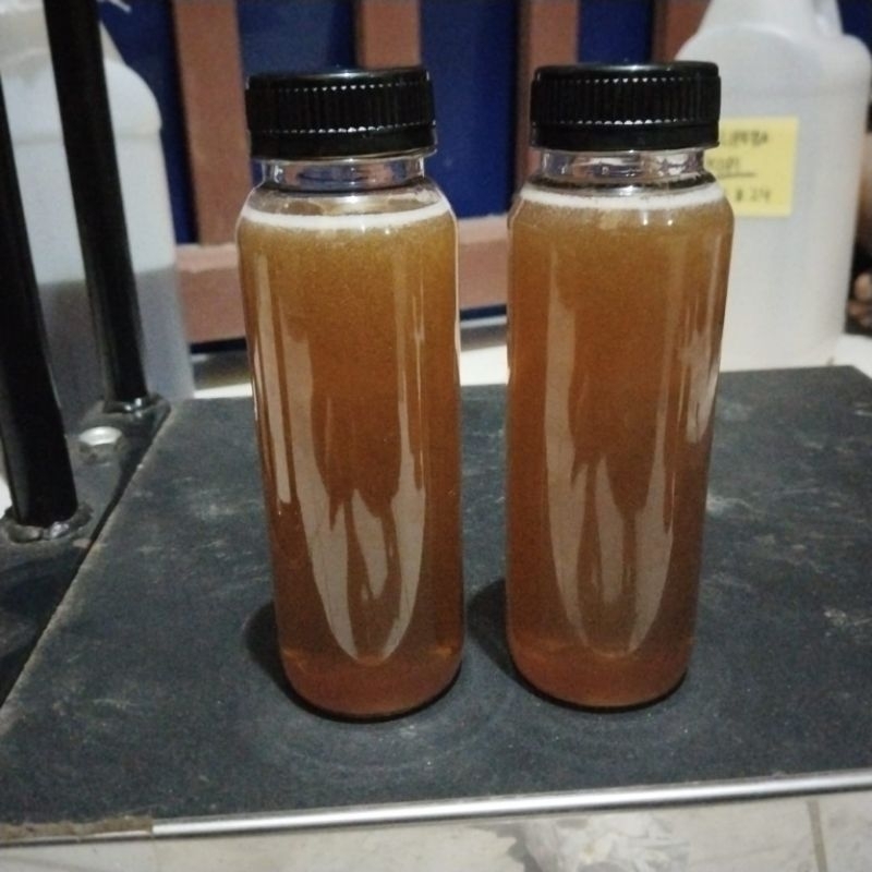 Jual Madu tawon madu lebah asli dan murni | Shopee Indonesia