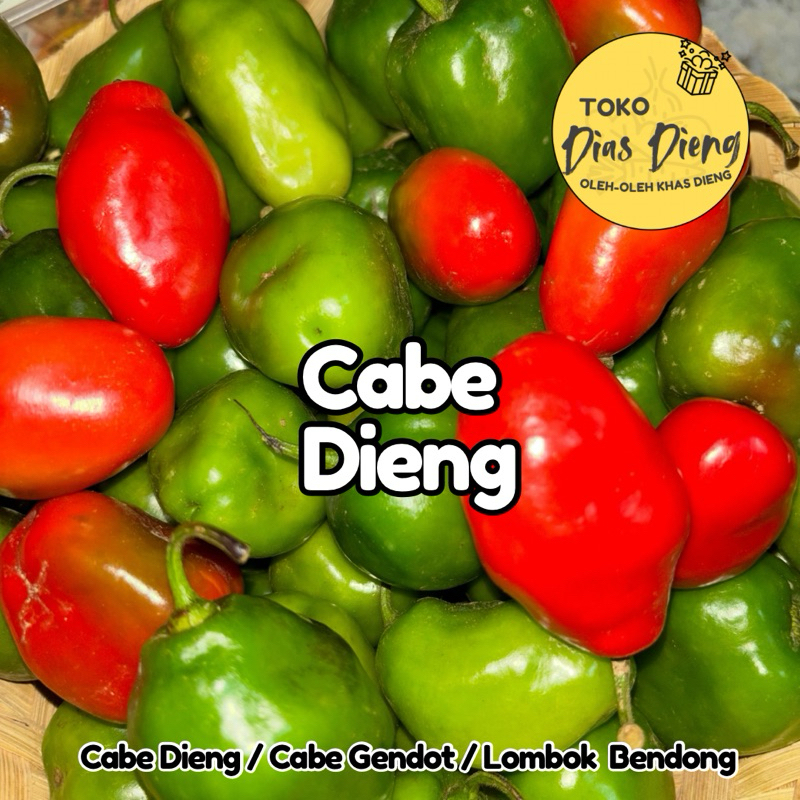 Jual Cabe Dieng / Cabe Gendot / Cabai / Lombok Bendong 1 kg | Shopee ...