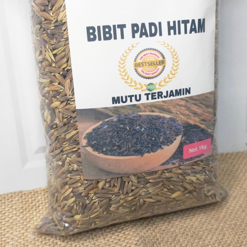 Jual Padi Black bibit padi hitam | Shopee Indonesia