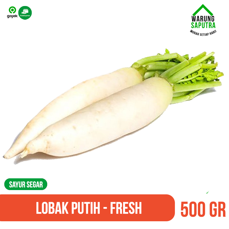 Jual Lobak Putih Lokal Segar 500 g | Shopee Indonesia