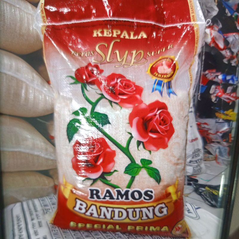 Jual Beras cap merek Bunga Bandung super 10kg-free ongkir | Shopee ...